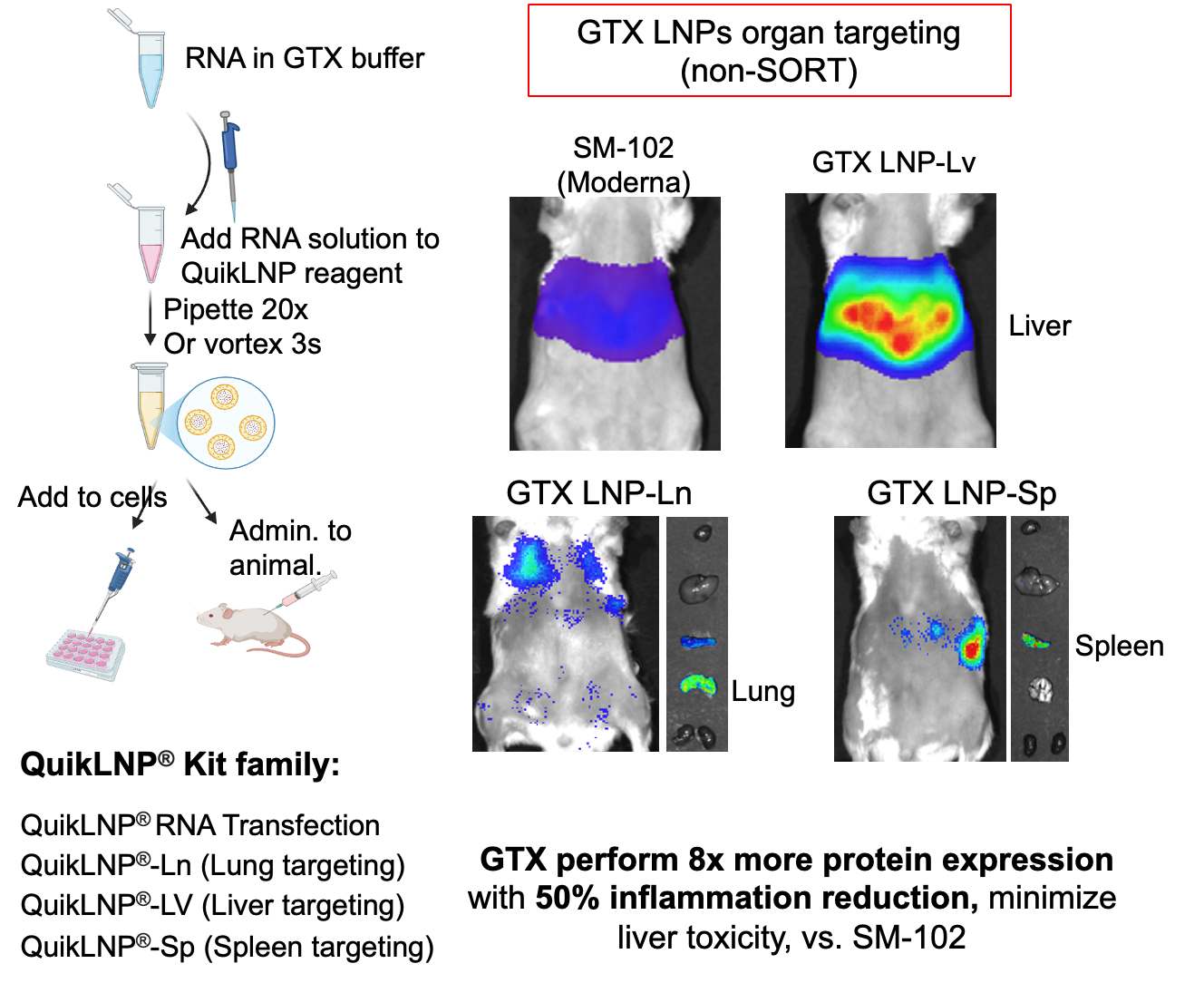 Pioneering RNA Delivery - Non-reactogenic LNP for safer and more ...